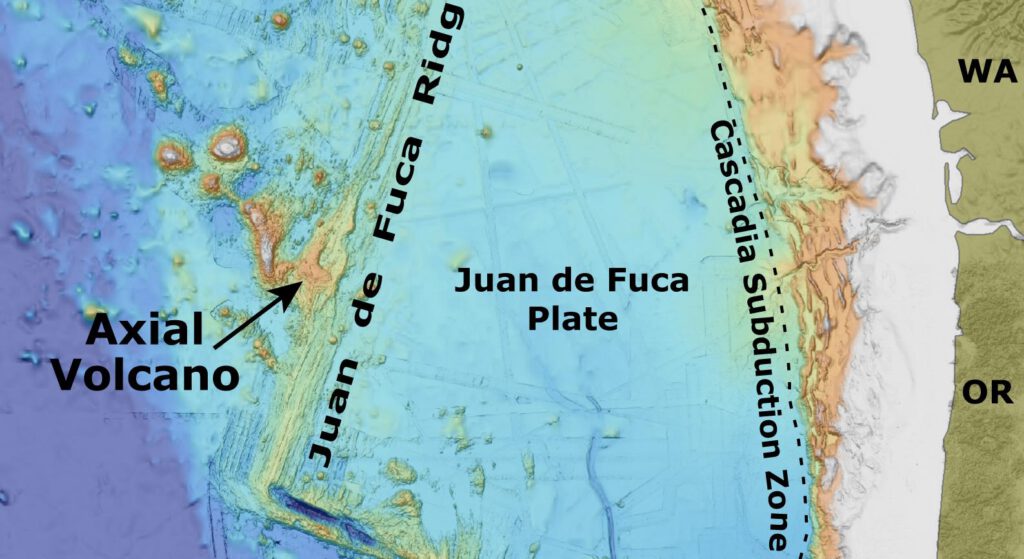Axial Seamount - Steckbrief - Vulkane Net Newsblog
